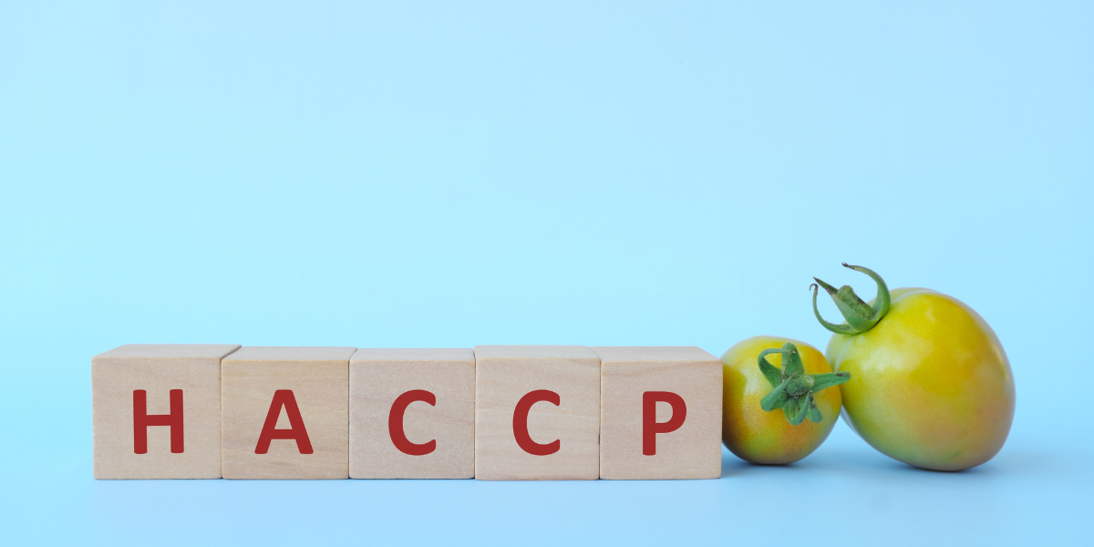 Master HACCP, GMP & Essential Skills with Our Food Safety Program ...