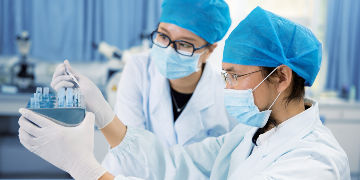 Top Skills You Need to Succeed as a Medical Laboratory Technician